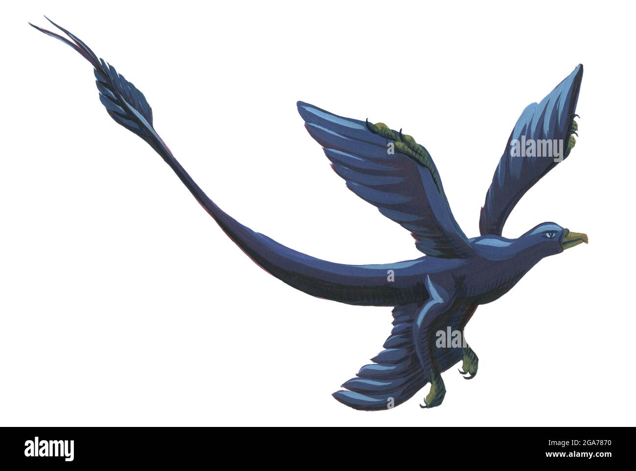 Hand drawn acrylic microraptor Stock Photo - Alamy
