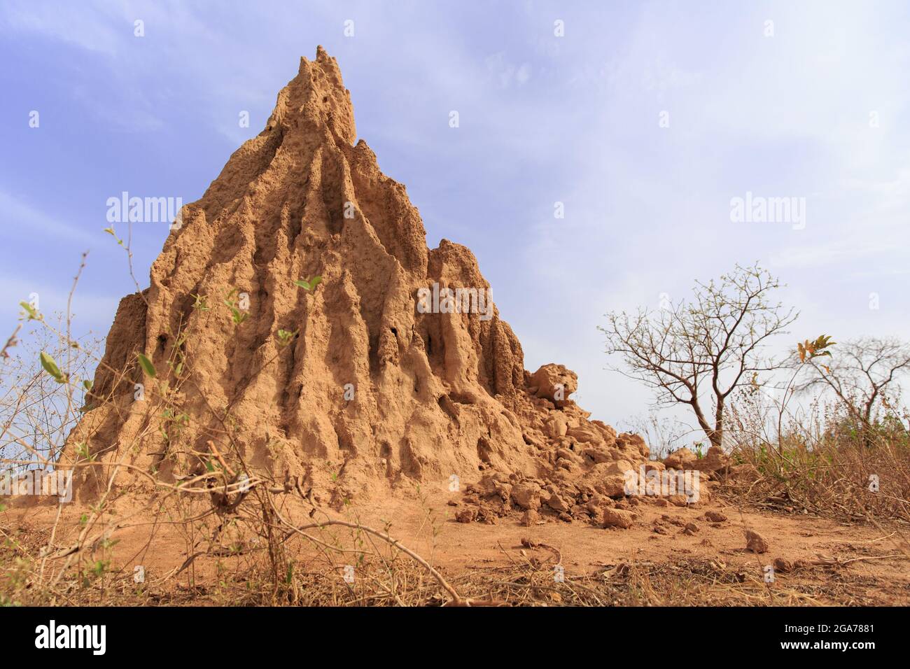 Anthill big hi-res stock photography and images - Alamy