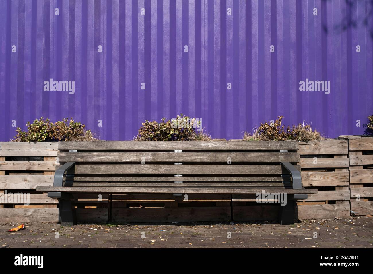 Wooden park bench in nature. A good place to sit in Rotterdam, the ...