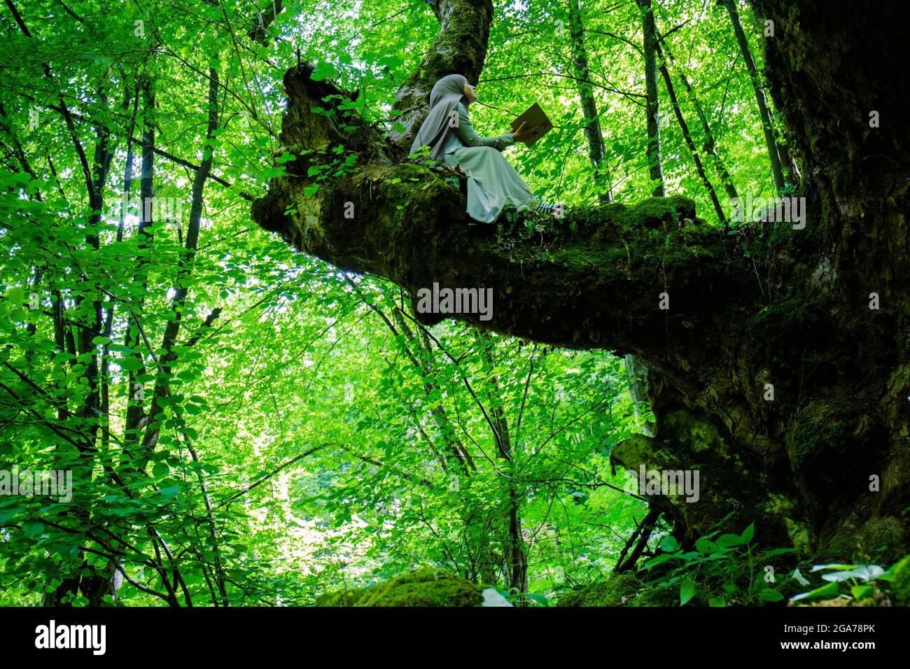 A young Muslim woman with hijab untouched nature, enjoys the natural ...