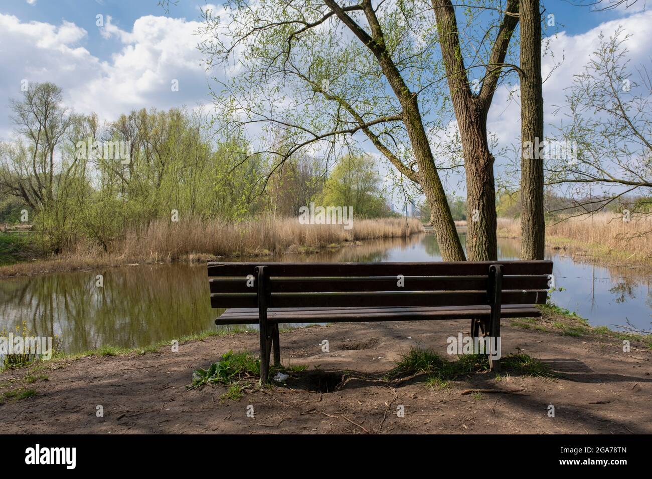 Wooden park bench in nature. A good place to sit in Rotterdam, the ...