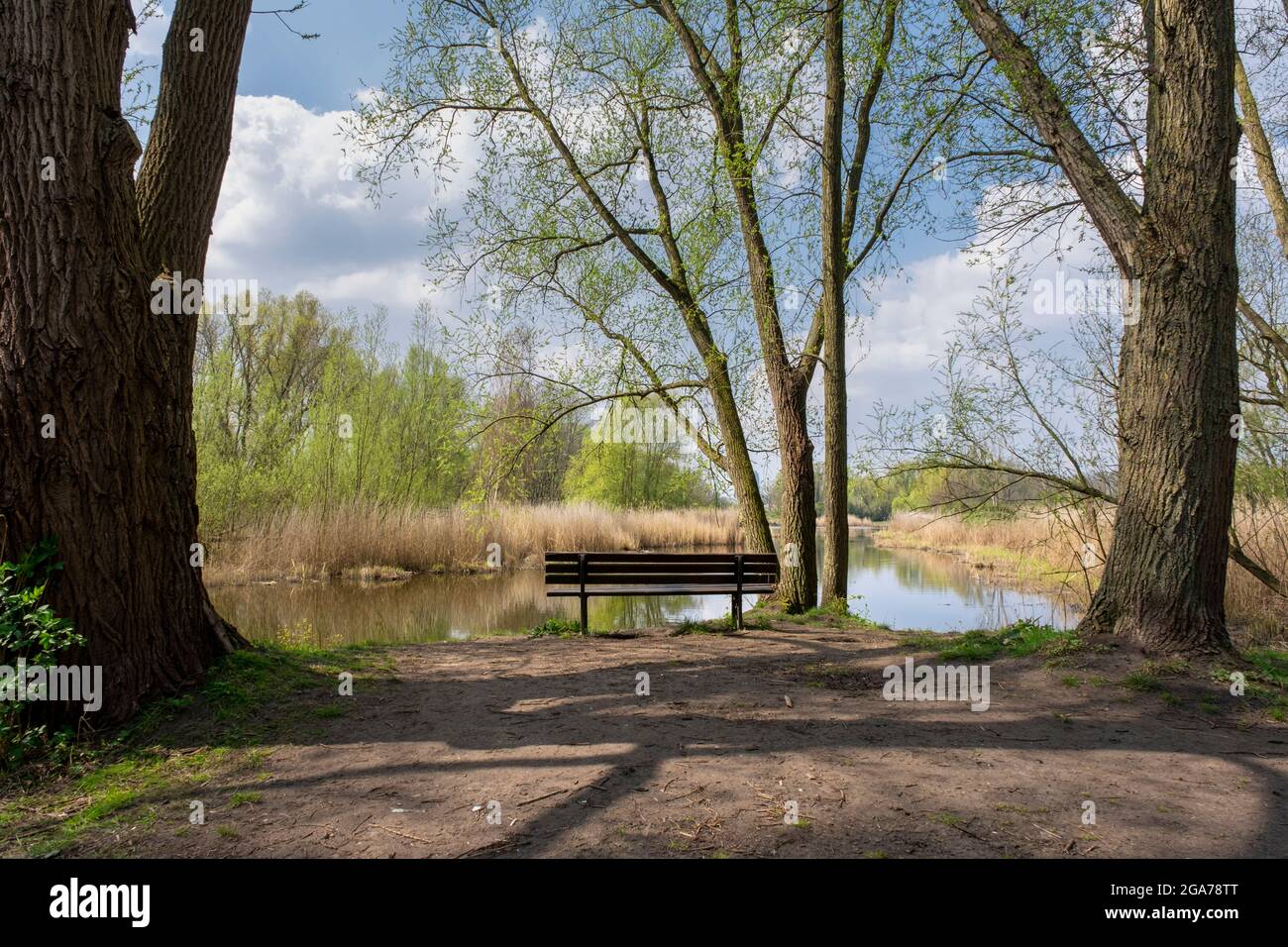 Wooden park bench in nature. A good place to sit in Rotterdam, the ...