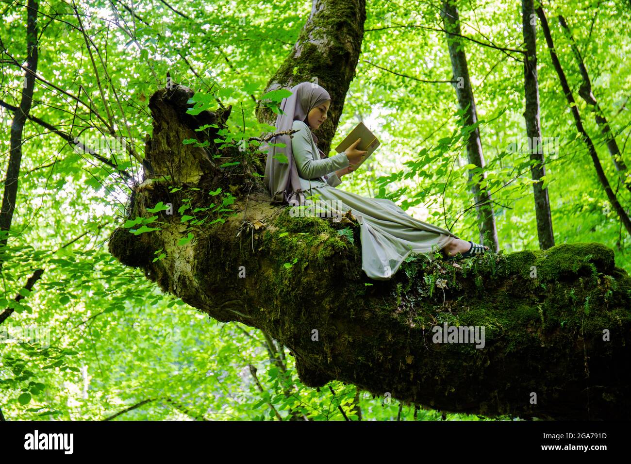A young Muslim woman with hijab untouched nature, enjoys the natural ...