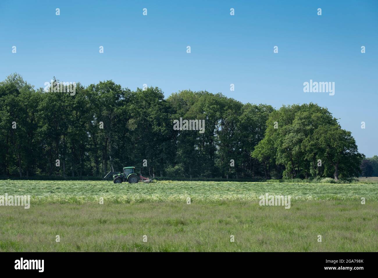 tractor raking grass on the field in the Netherlands Stock Photo - Alamy