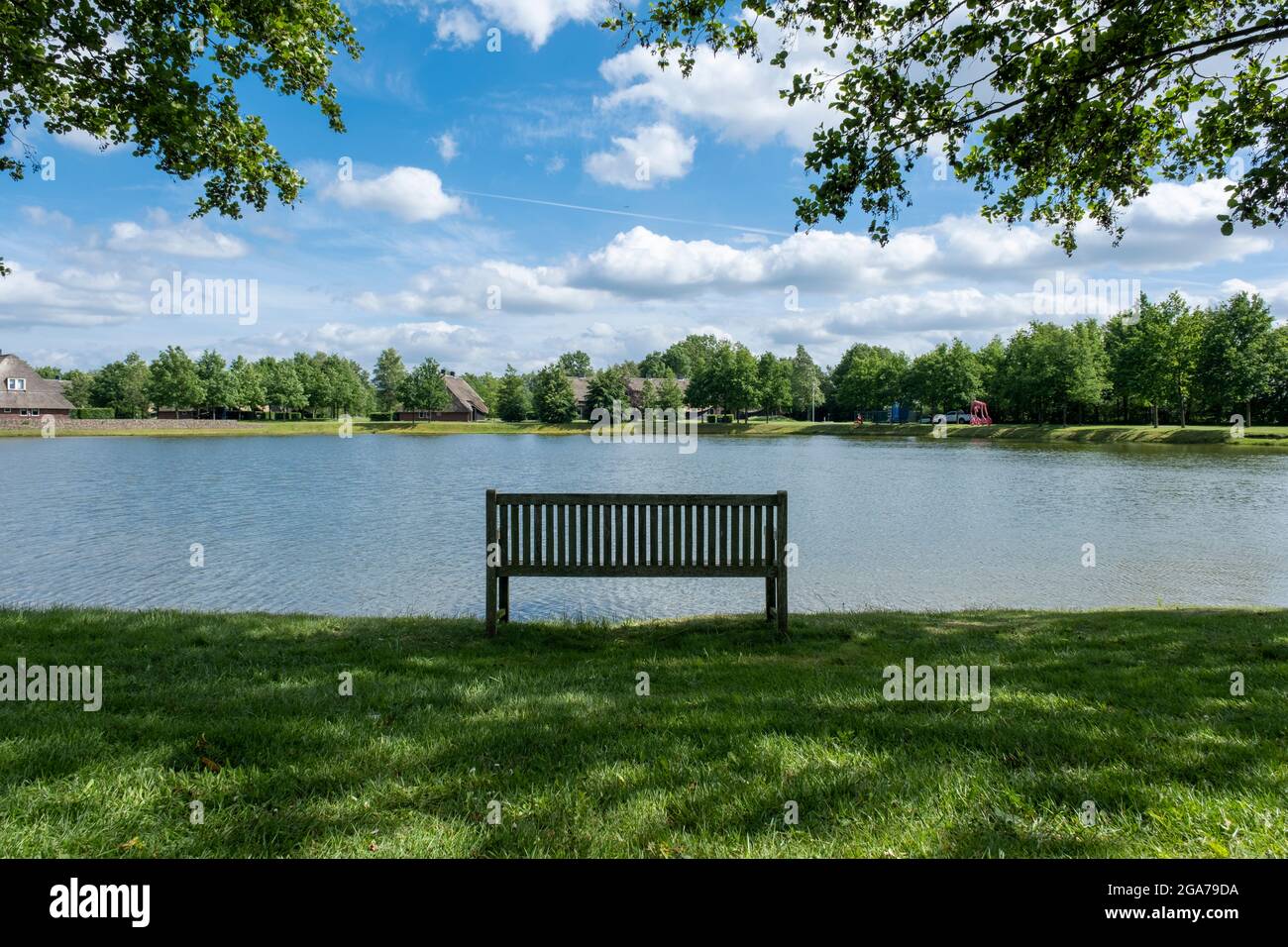 Wooden park bench in nature. A good place to sit in Rotterdam, the ...