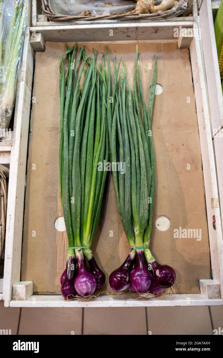 Two bunches of purple colored spring onion or scallion, vertical Stock ...