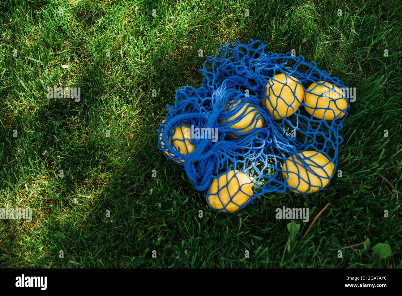 top view of ripe lemons in blue string bag on grass Stock Photo - Alamy