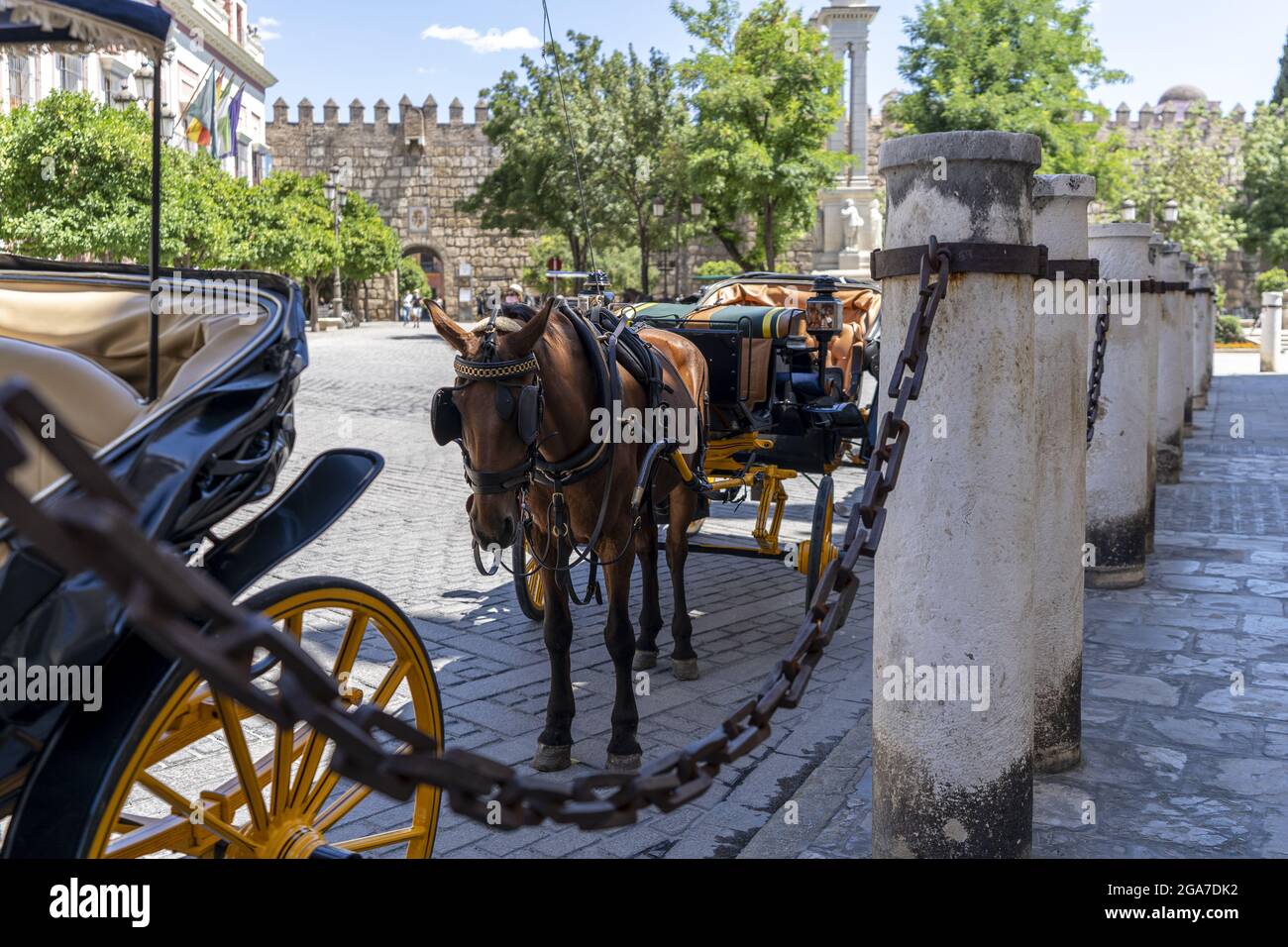 Brown harnessed horse with a cart standing on the street Stock Photo ...