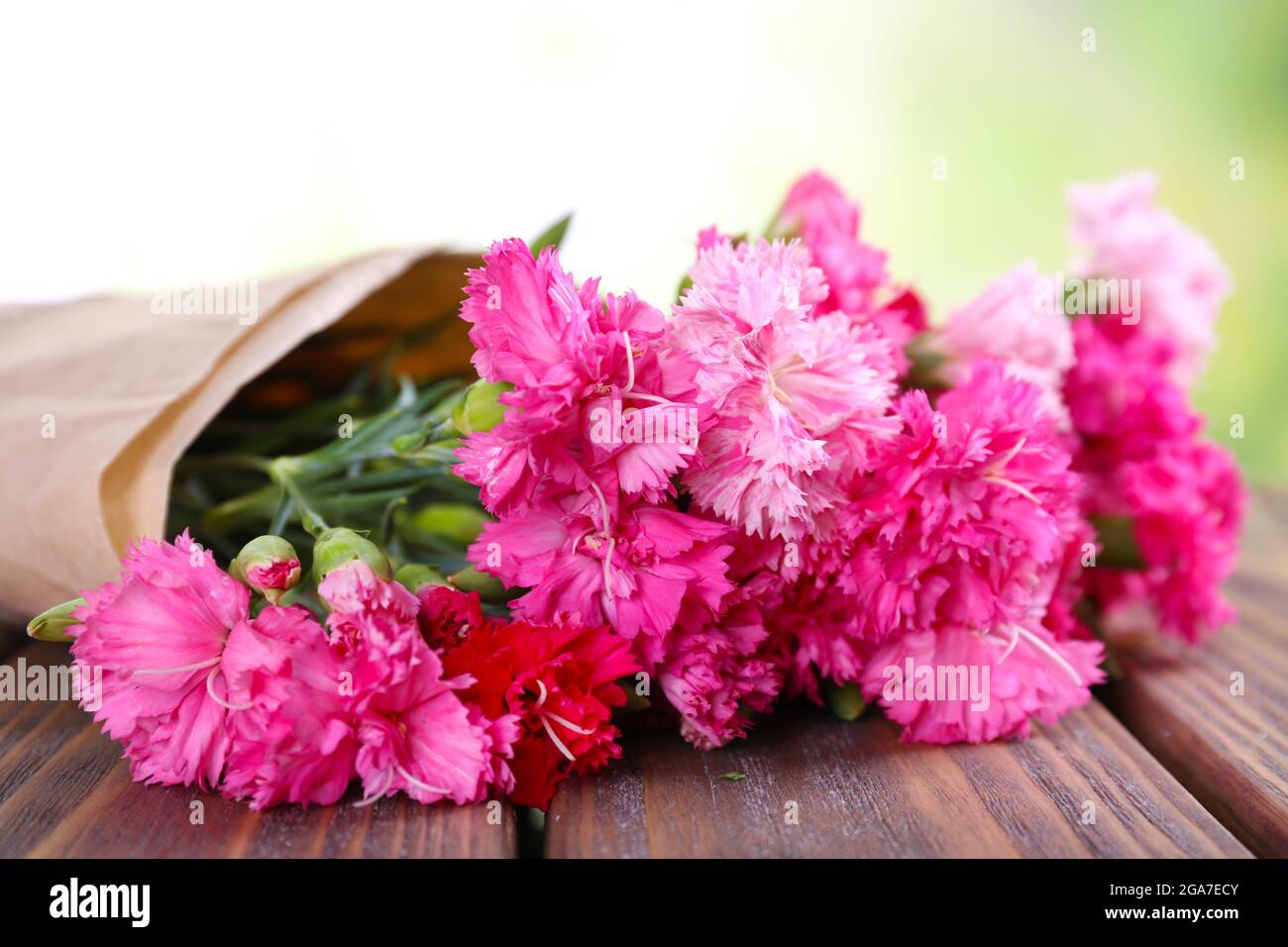 Beautiful bouquet of pink carnation on bright background Stock Photo ...