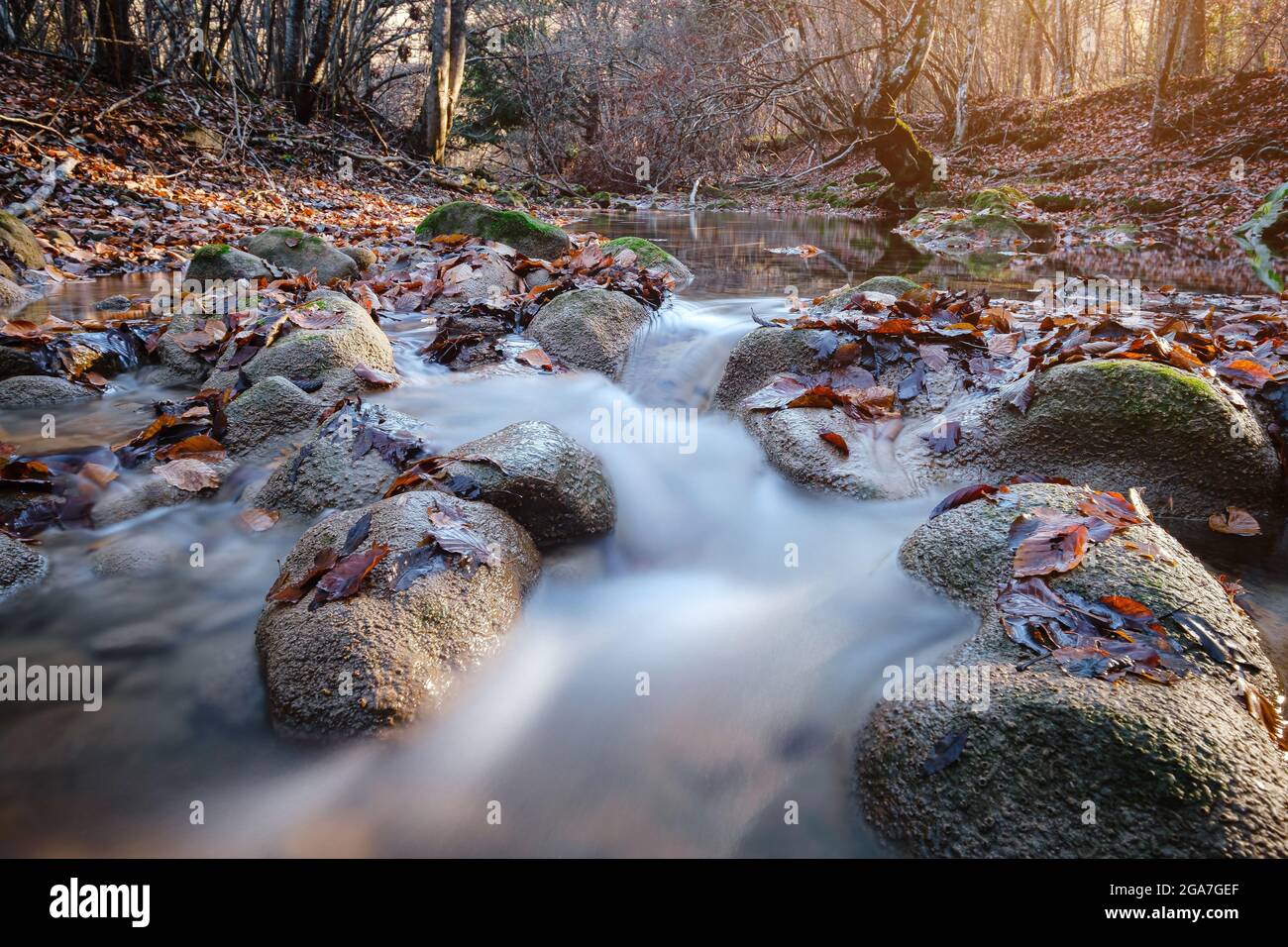 Autumn forest river creek view. Creek from the mountain waterfall in ...