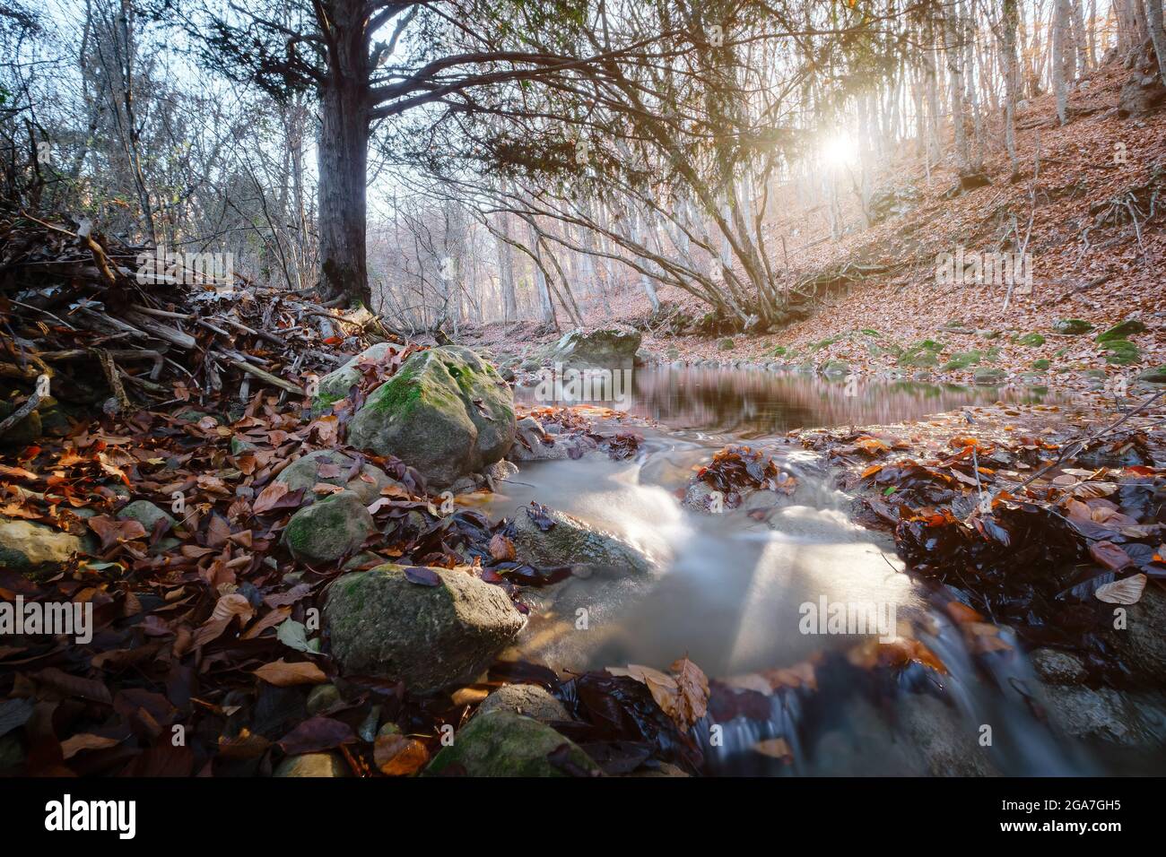 Autumn forest river creek view. Creek from the mountain waterfall in ...
