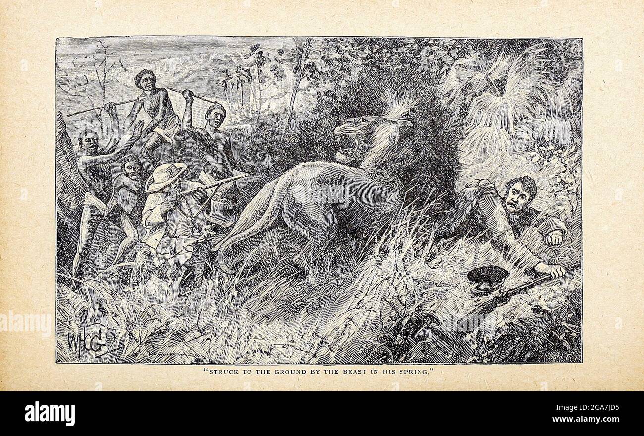 Vintage natural history lion hi-res stock photography and images - Alamy