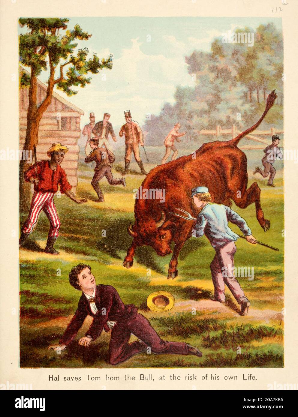 Harry Saves Rom from the Bull From the Book ' Sandford and Merton : in ...
