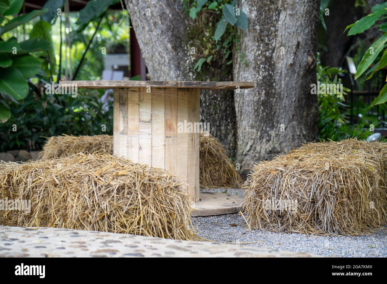Seats under a tree hi-res stock photography and images - Alamy