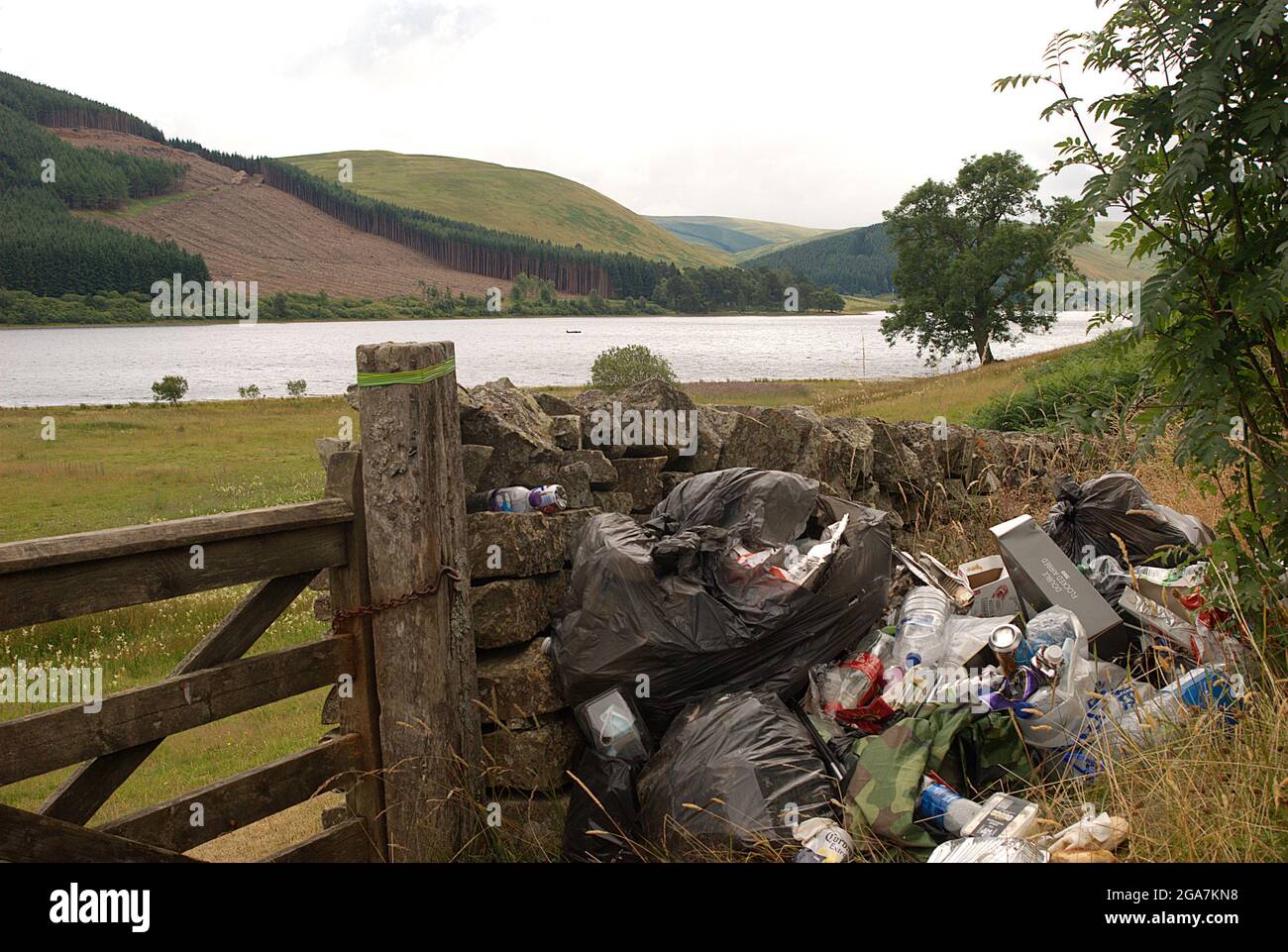 Care of our planet Ettrick Valley Scotland Stock Photo - Alamy