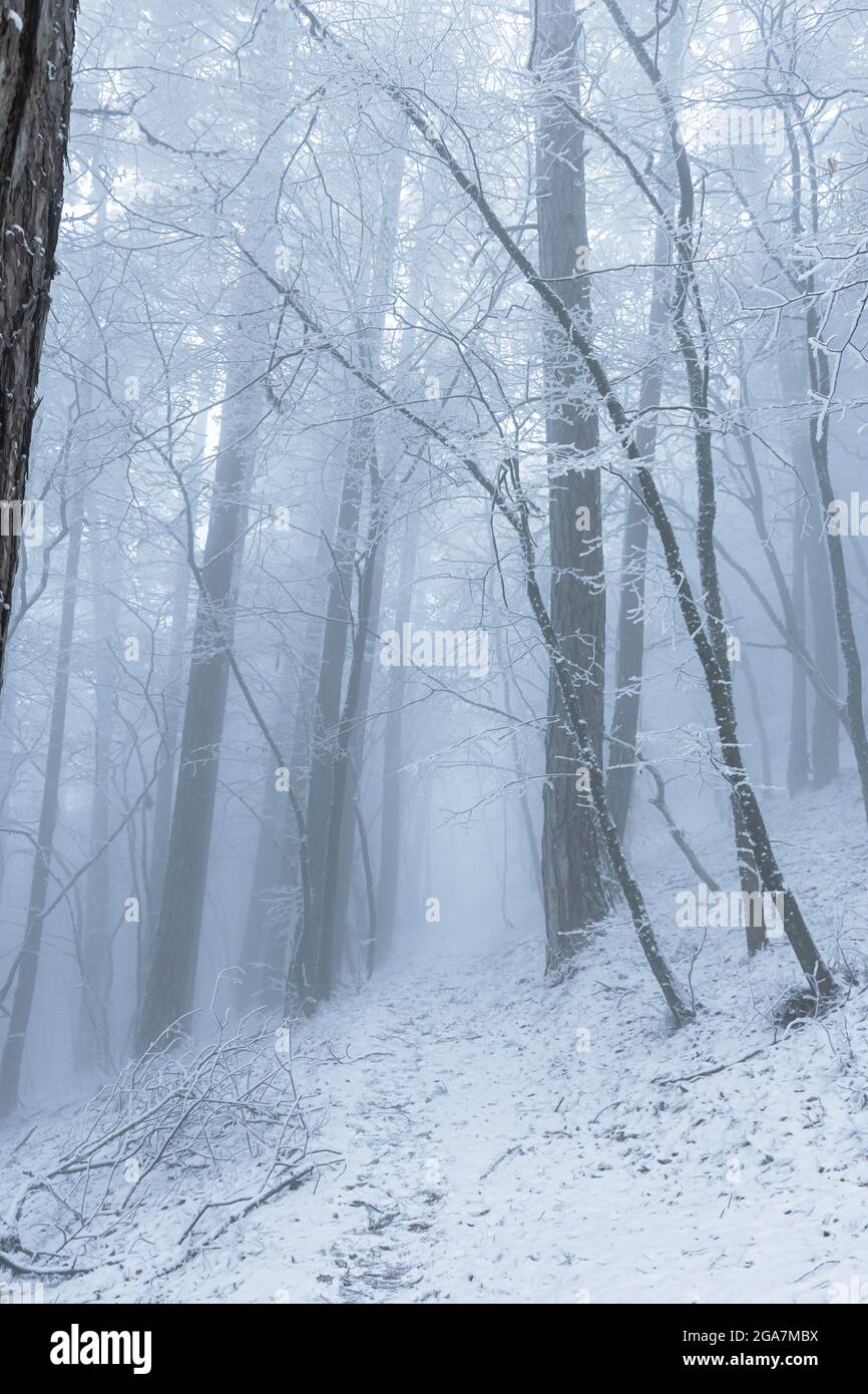 Mood sad hi-res stock photography and images - Alamy