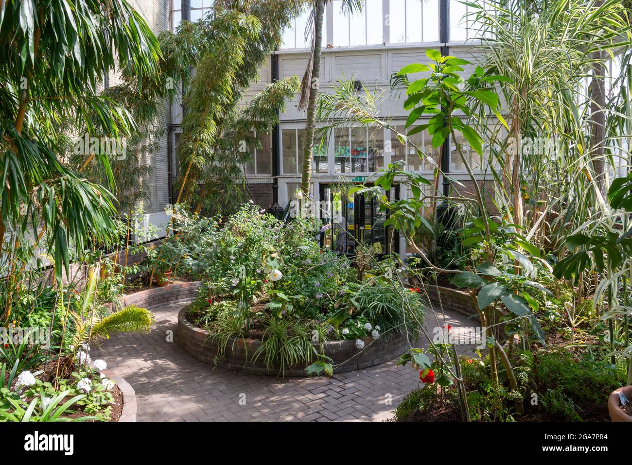Inside the conservatory at Buxton Pavilion Gardens, Derbyshire, England ...