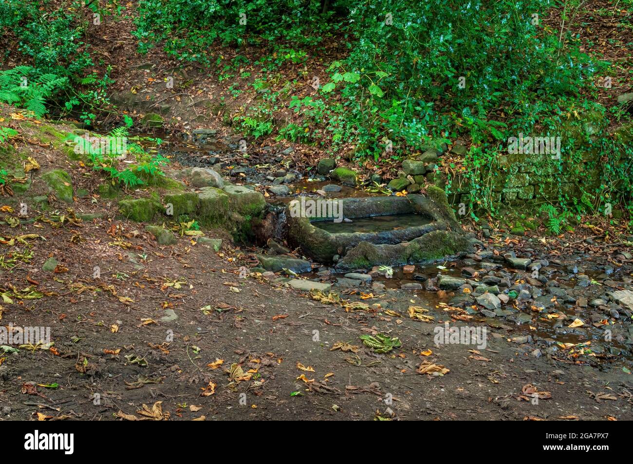The very old Trap Lane in Bents Green in Sheffield, looking south into ...