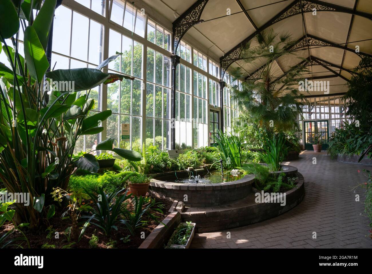 Inside the conservatory in Buxton Pavilion Gardens, Derbyshire, England ...