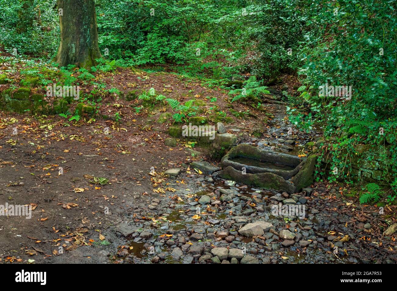 Old Water Trough High Resolution Stock Photography and Images - Alamy