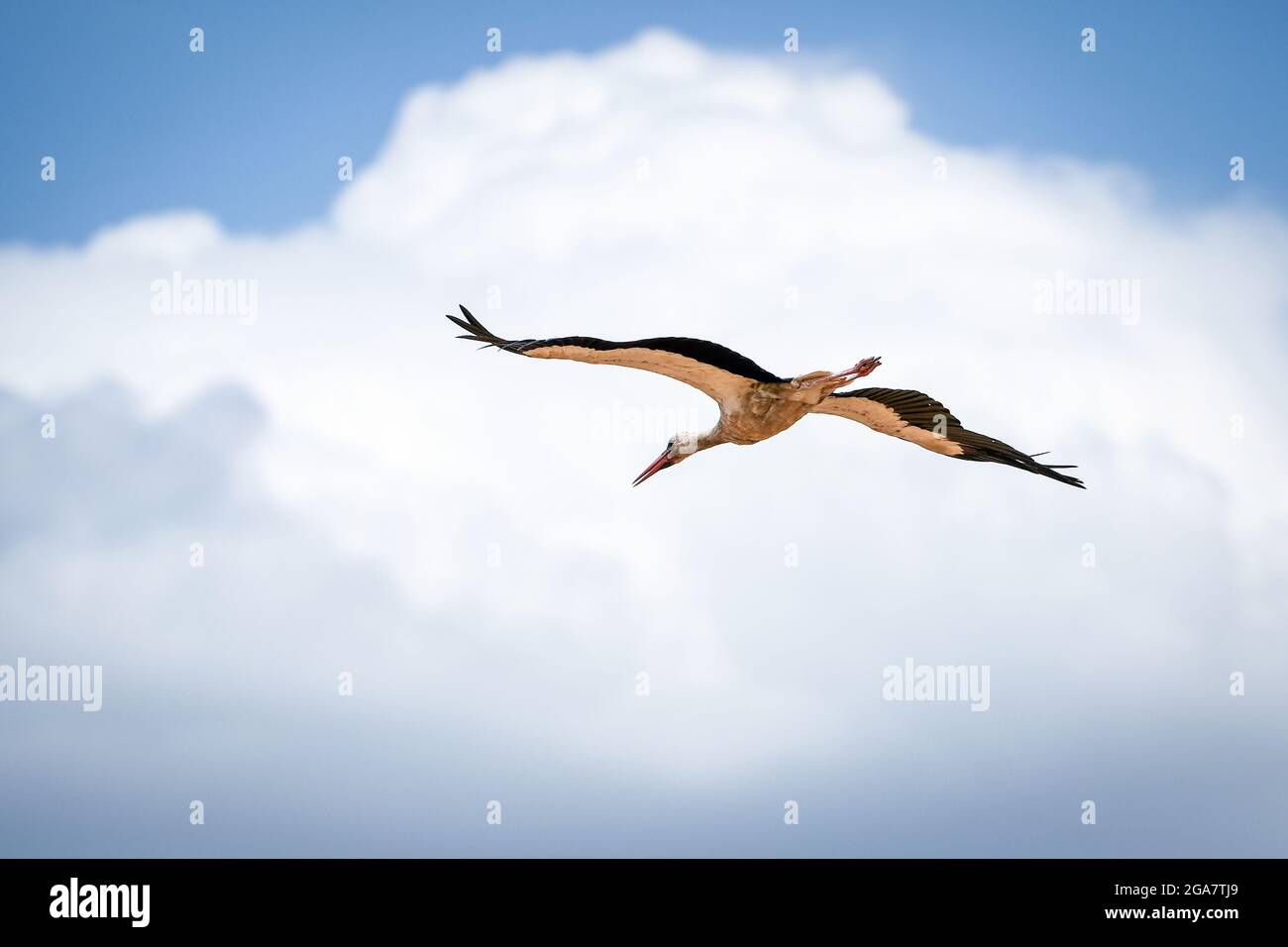 Molochna river hi-res stock photography and images - Alamy