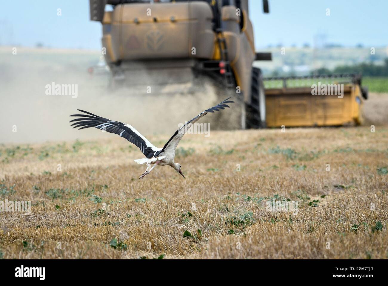 Molochna river hi-res stock photography and images - Alamy