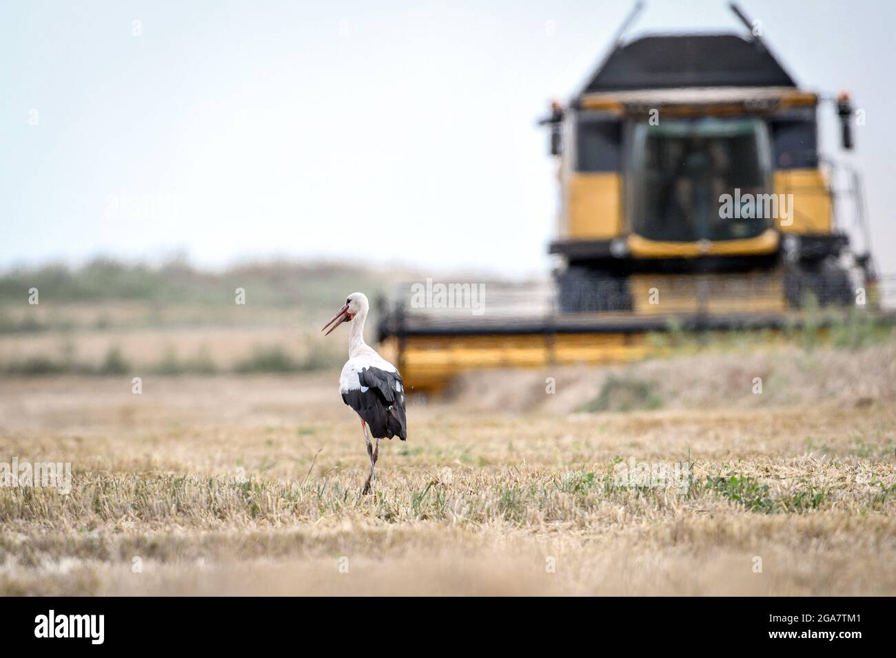 Molochna river hi-res stock photography and images - Alamy