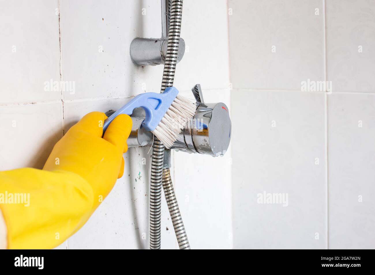 Person cleaning shower, scrubbing with a brush wearing rubber gloves ...