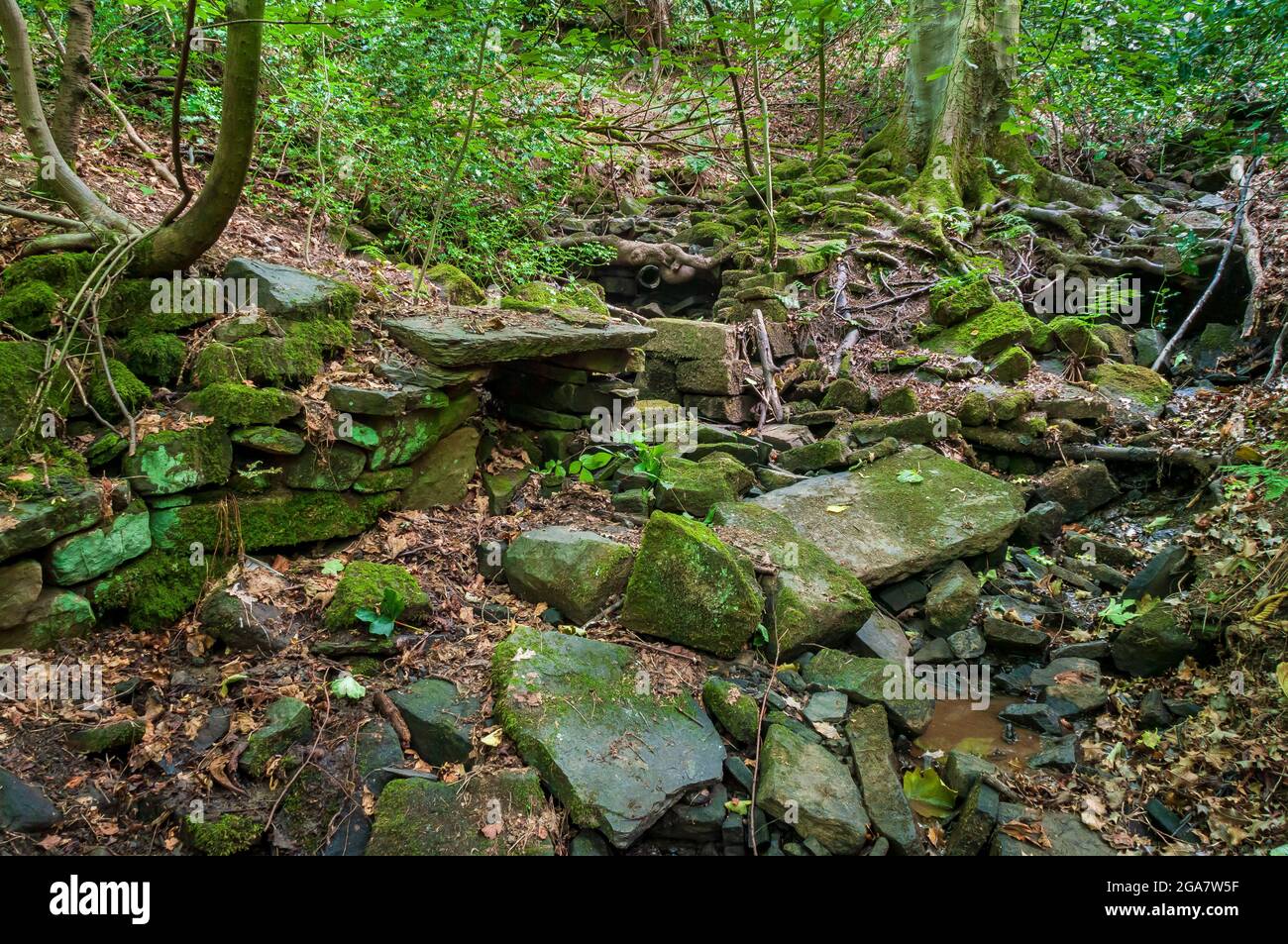 Extensive drystone walling and dressed stone slabs creating waterways ...