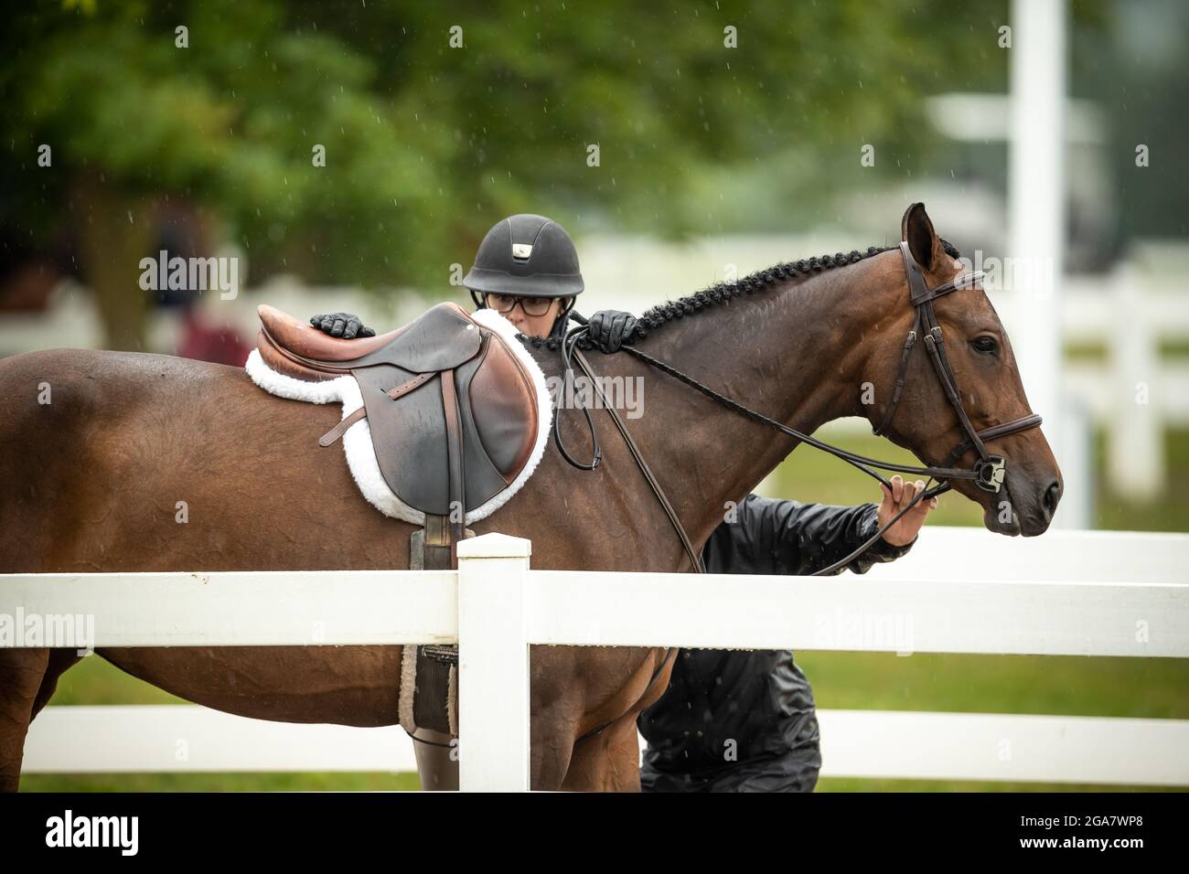 Leg up mount horse hi-res stock photography and images - Alamy