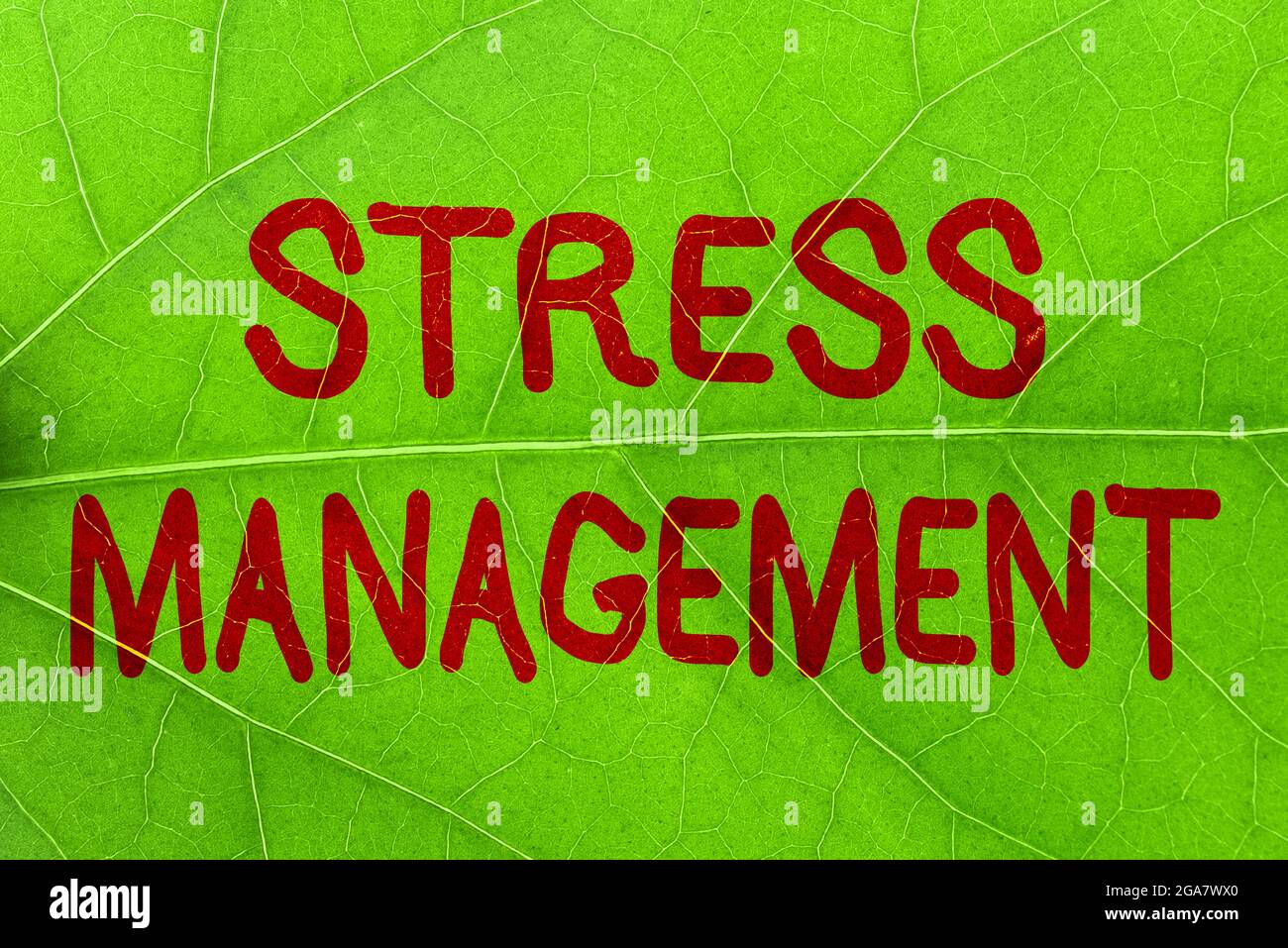 Text caption presenting Stress Management. Business approach method of ...