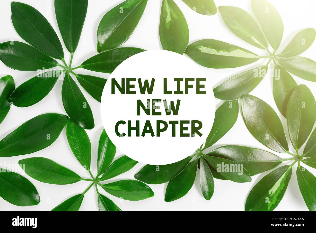 Handwriting text New Life New Chapter. Business approach modification ...