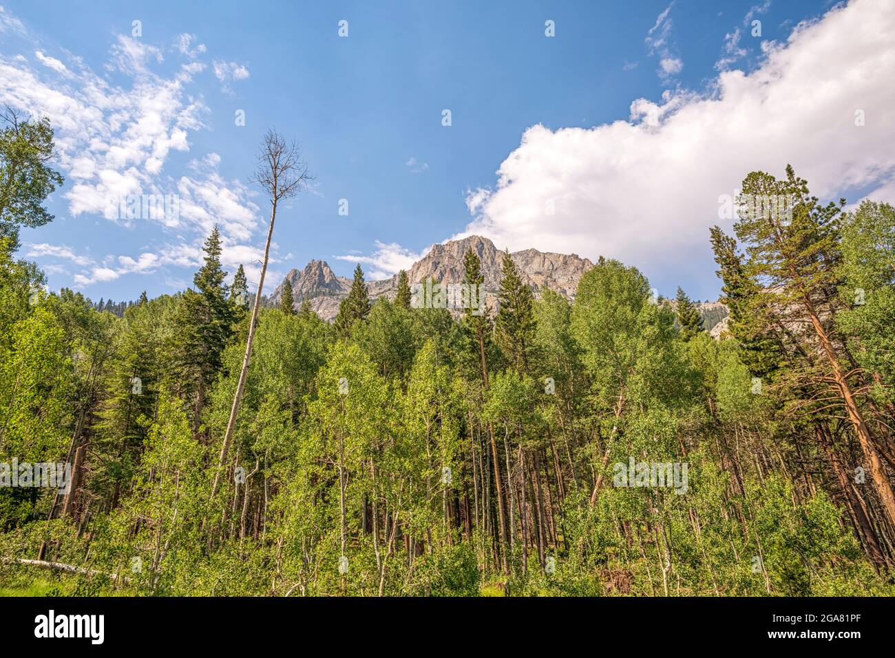 Beautiful scenery from along the June Lake Loop. June Lake, California ...