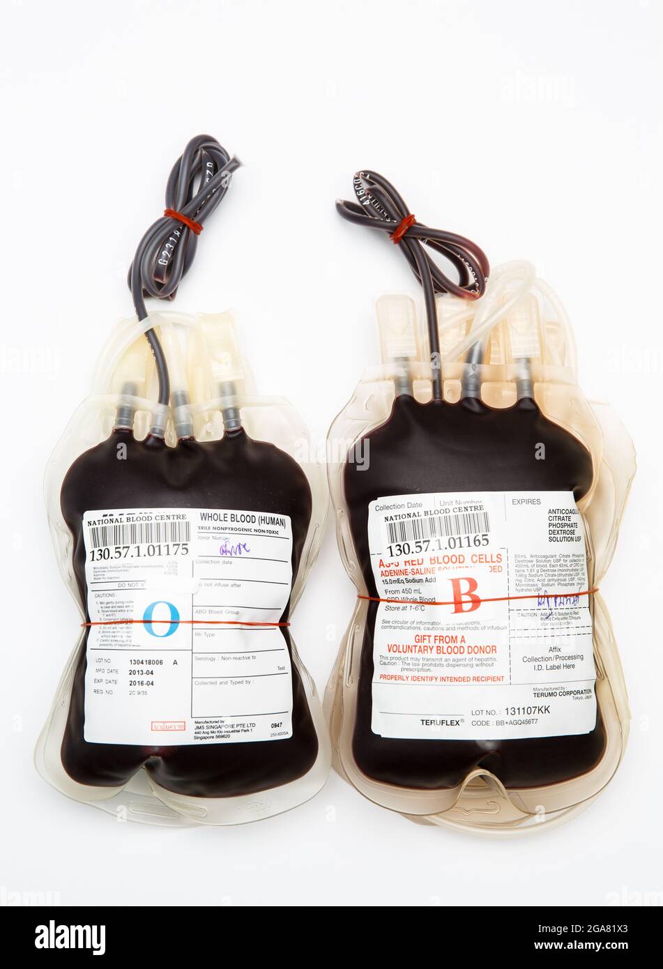 Blood bag with tube on white background Stock Photo - Alamy