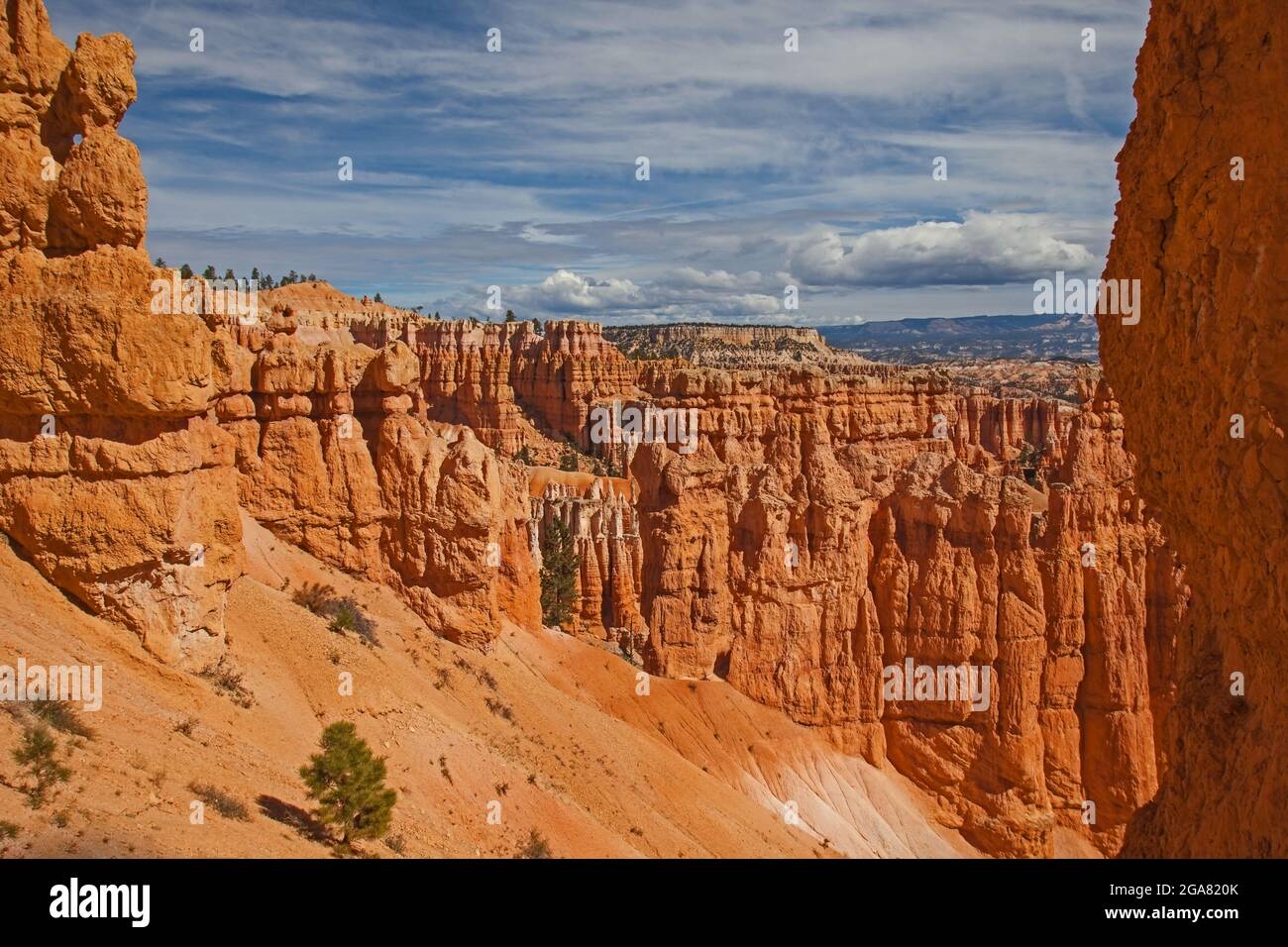 2492 hi-res stock photography and images - Alamy