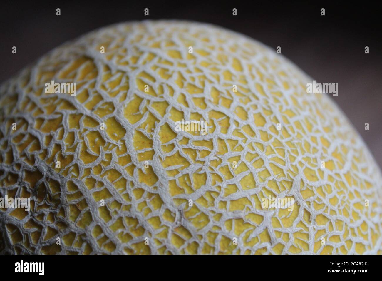 Lines of a Melon Stock Photo - Alamy