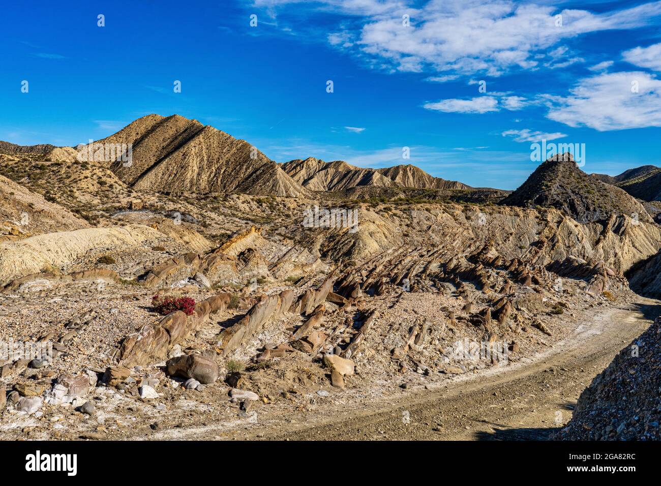 Dragon Tail, Colas de Dragon in Tabernas Desert in Almeria, Spain ...