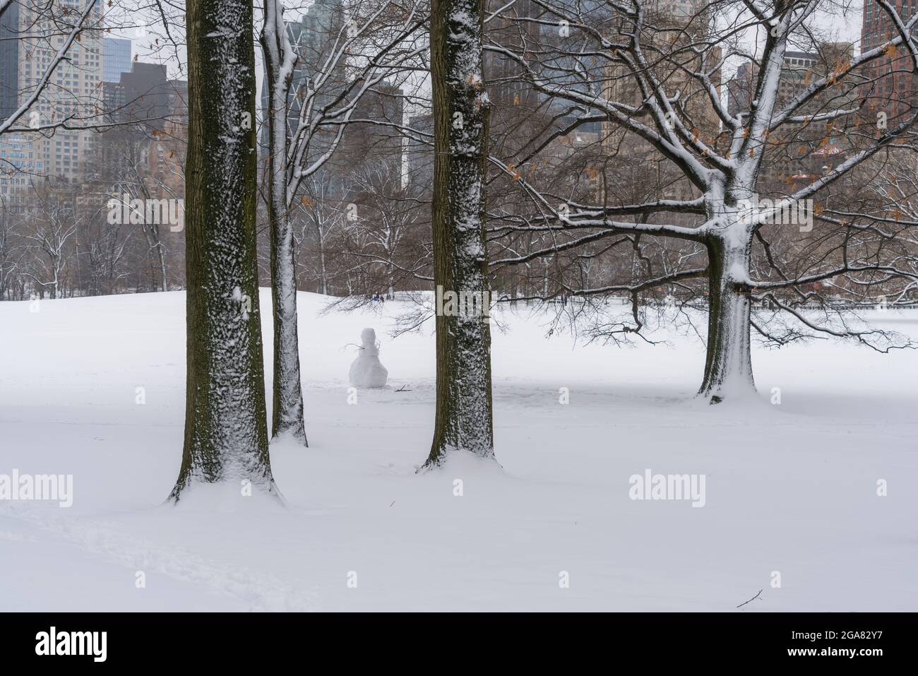 Major winter snowstorm hits New York City during the Pandemic of COVID ...