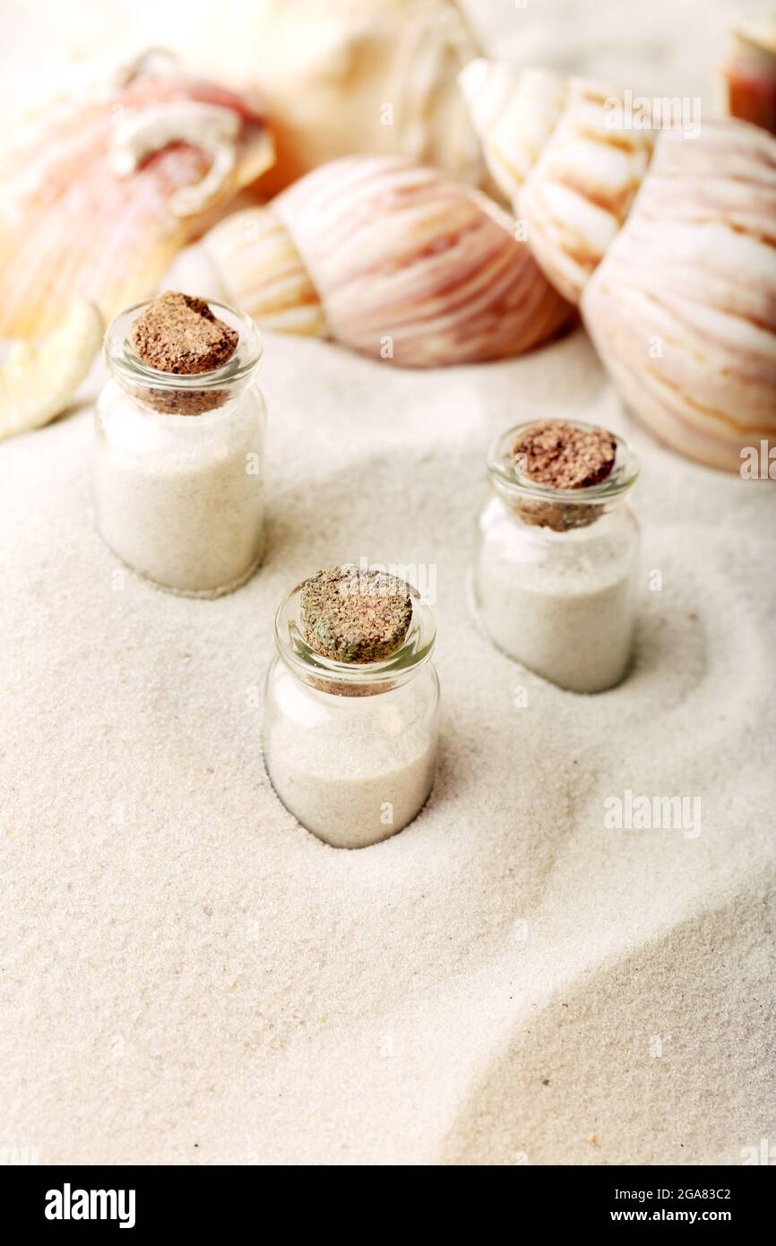 Beautiful seashells on sand background Stock Photo - Alamy