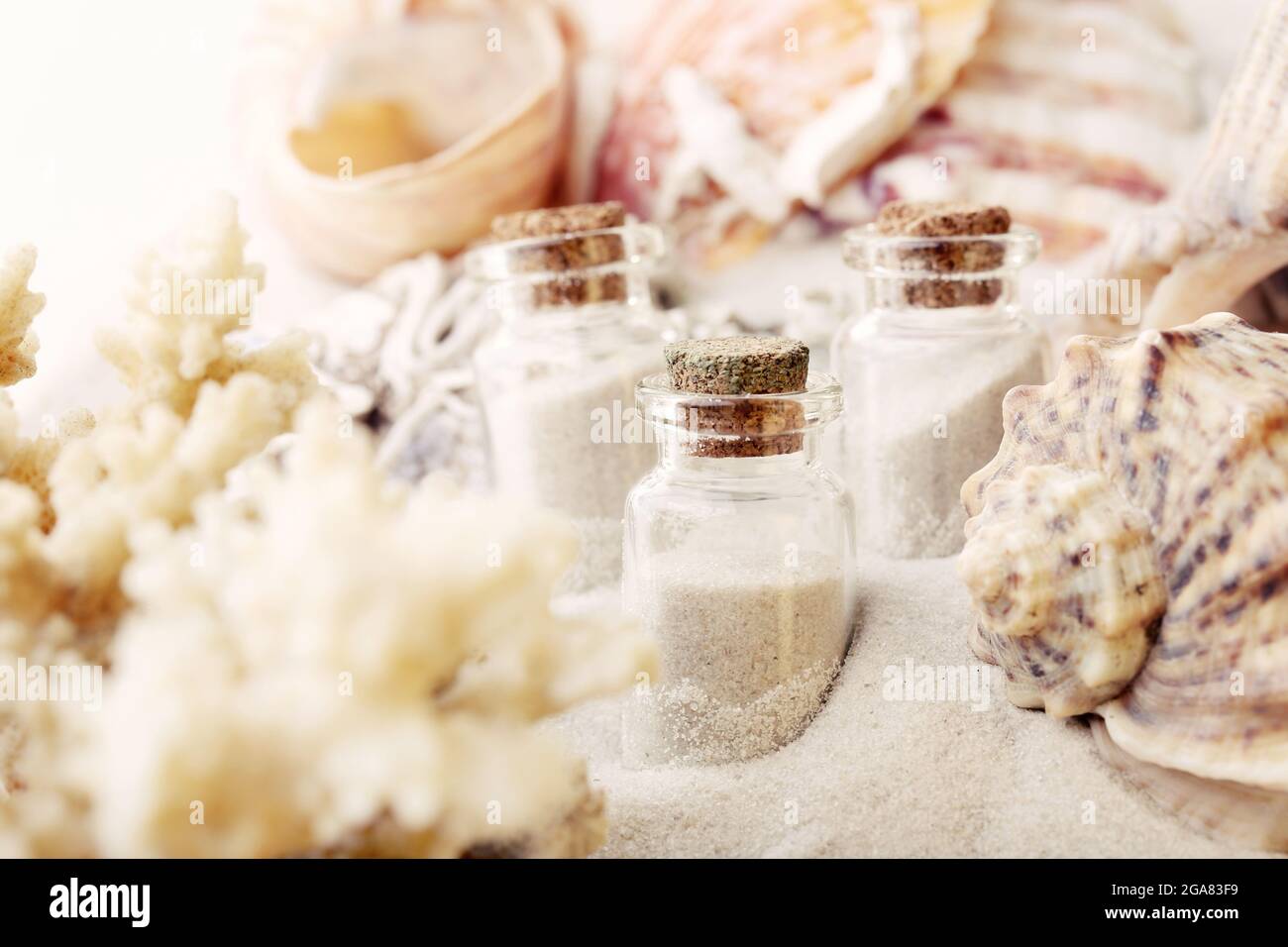 Beautiful seashells on sand background Stock Photo - Alamy