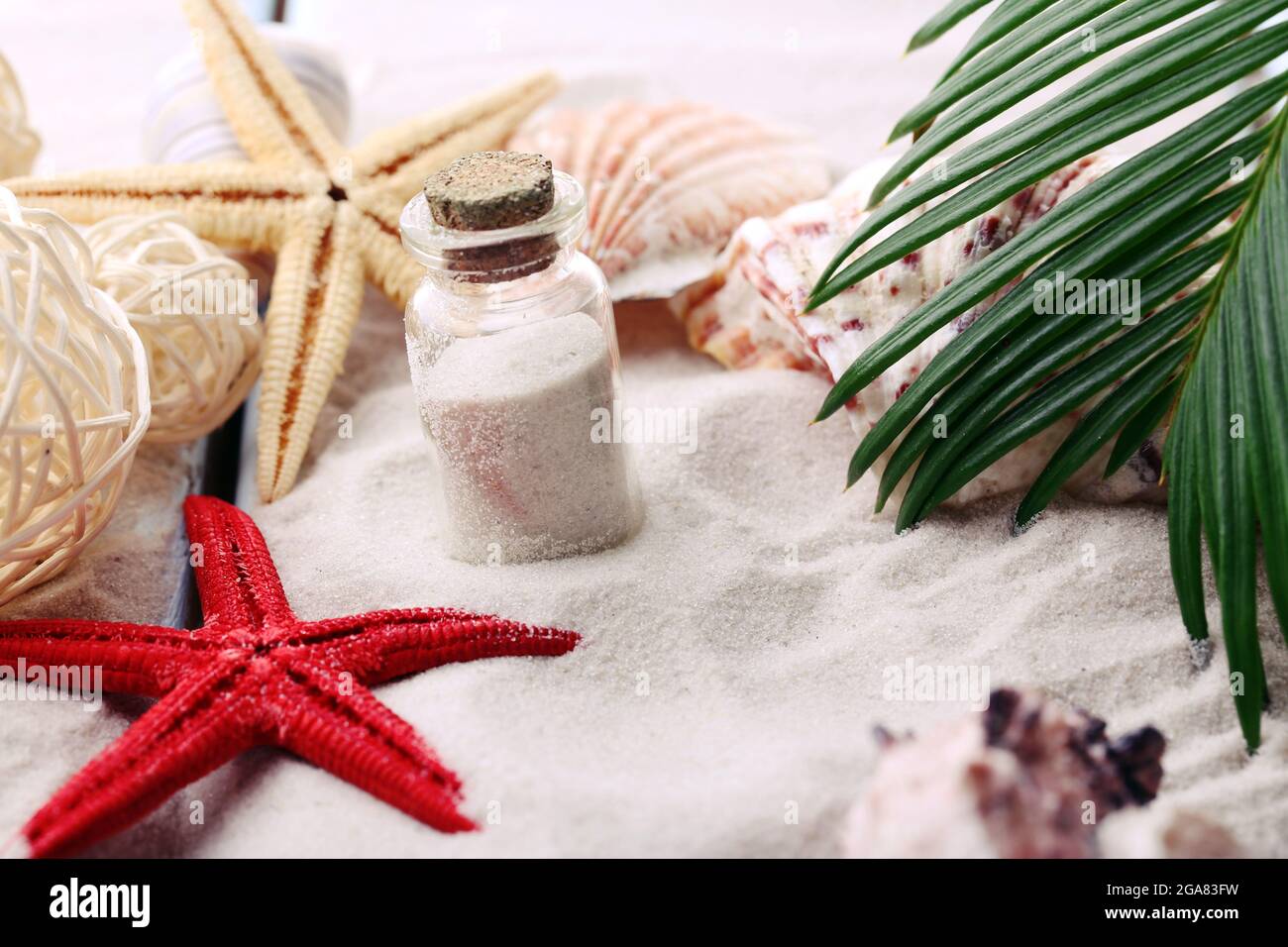 Beautiful seashells on sand background Stock Photo - Alamy