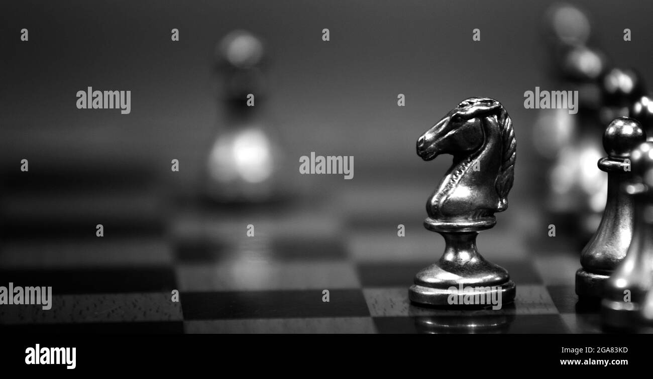 Chess board game playing with pieces Bishop Knight ready Stock Photo ...