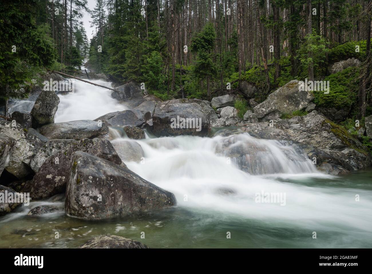 Cold water waterfalls in High Tatra mountains, Slovakia Stock Photo - Alamy