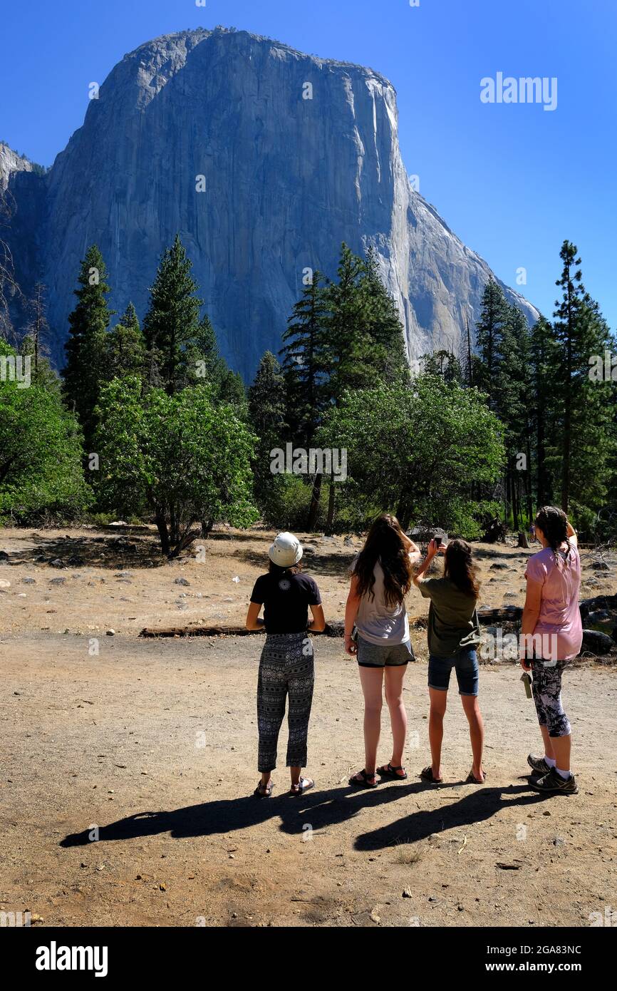 Yosemite National Park view of El Capitan cliff with pine trees and sky ...