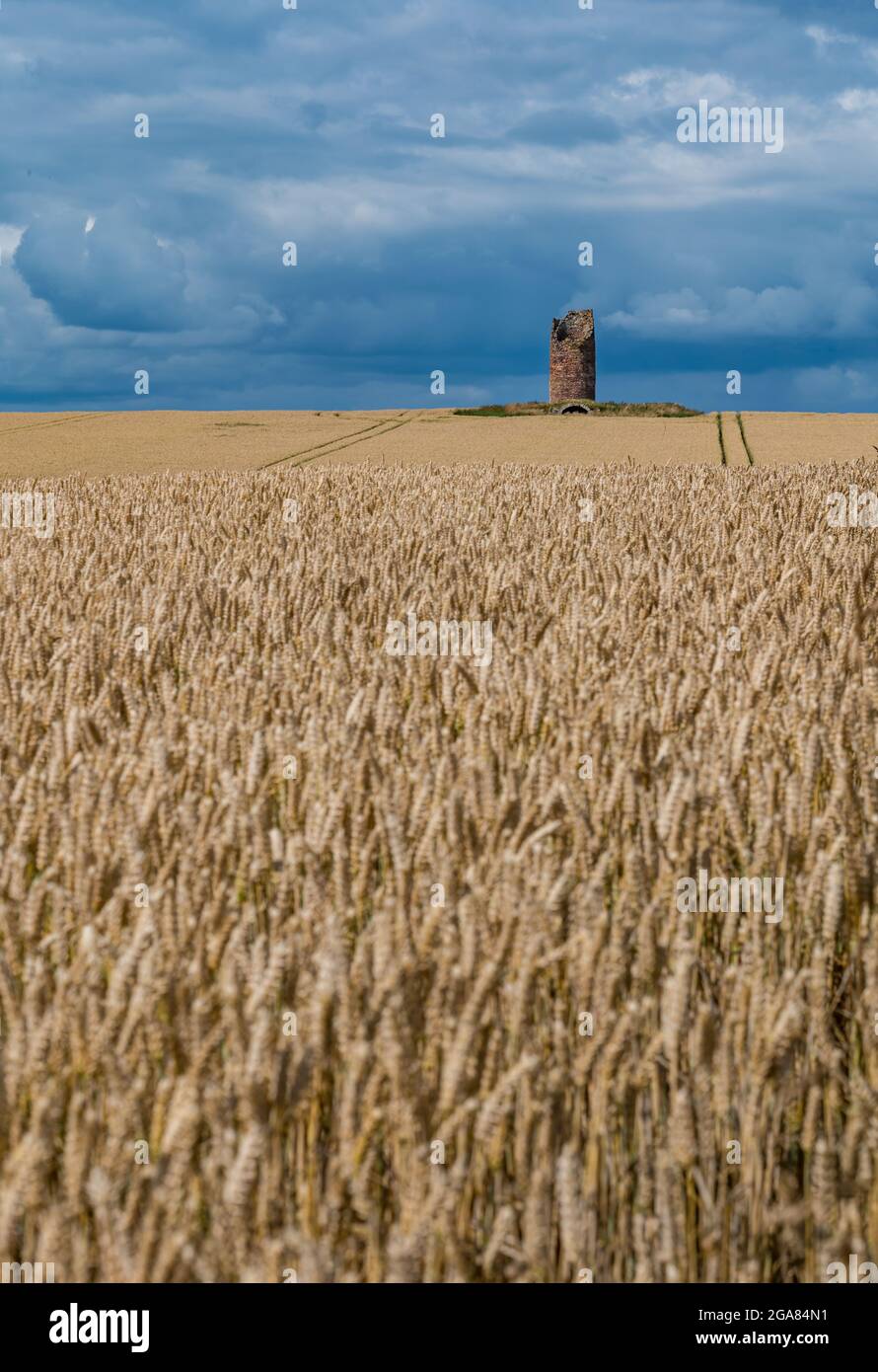 Ruined crop weather hi-res stock photography and images - Alamy