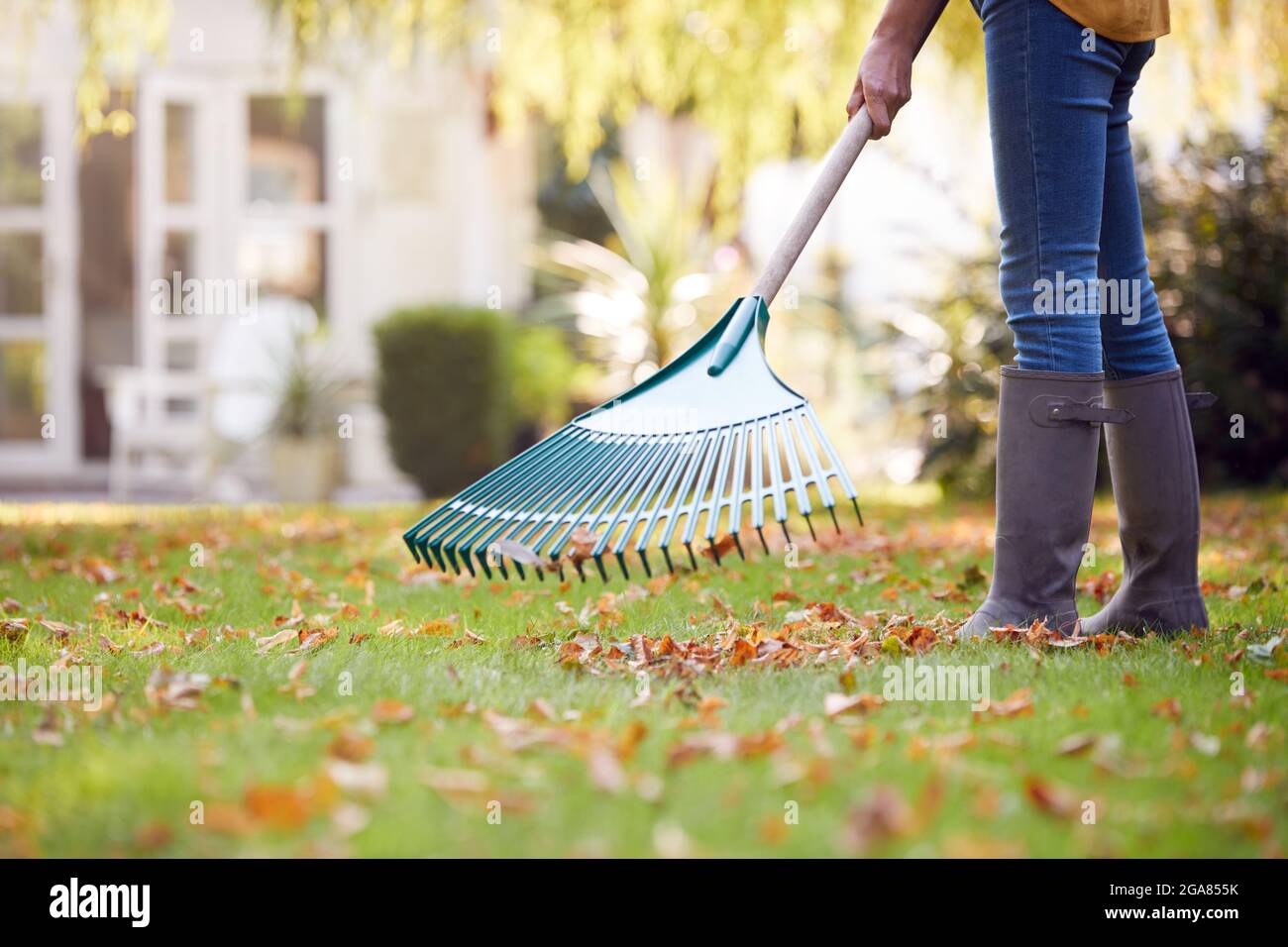 Close Up Of Woman Working In Garden At Home Raking And Tidying Leaves ...