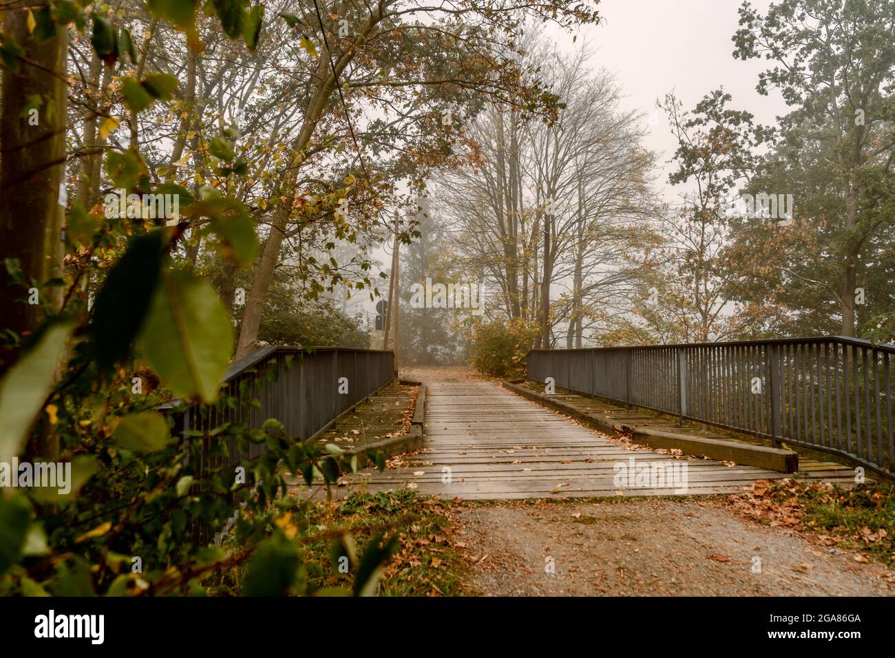 Wooden bridge with fallen autumn trees Stock Photo - Alamy
