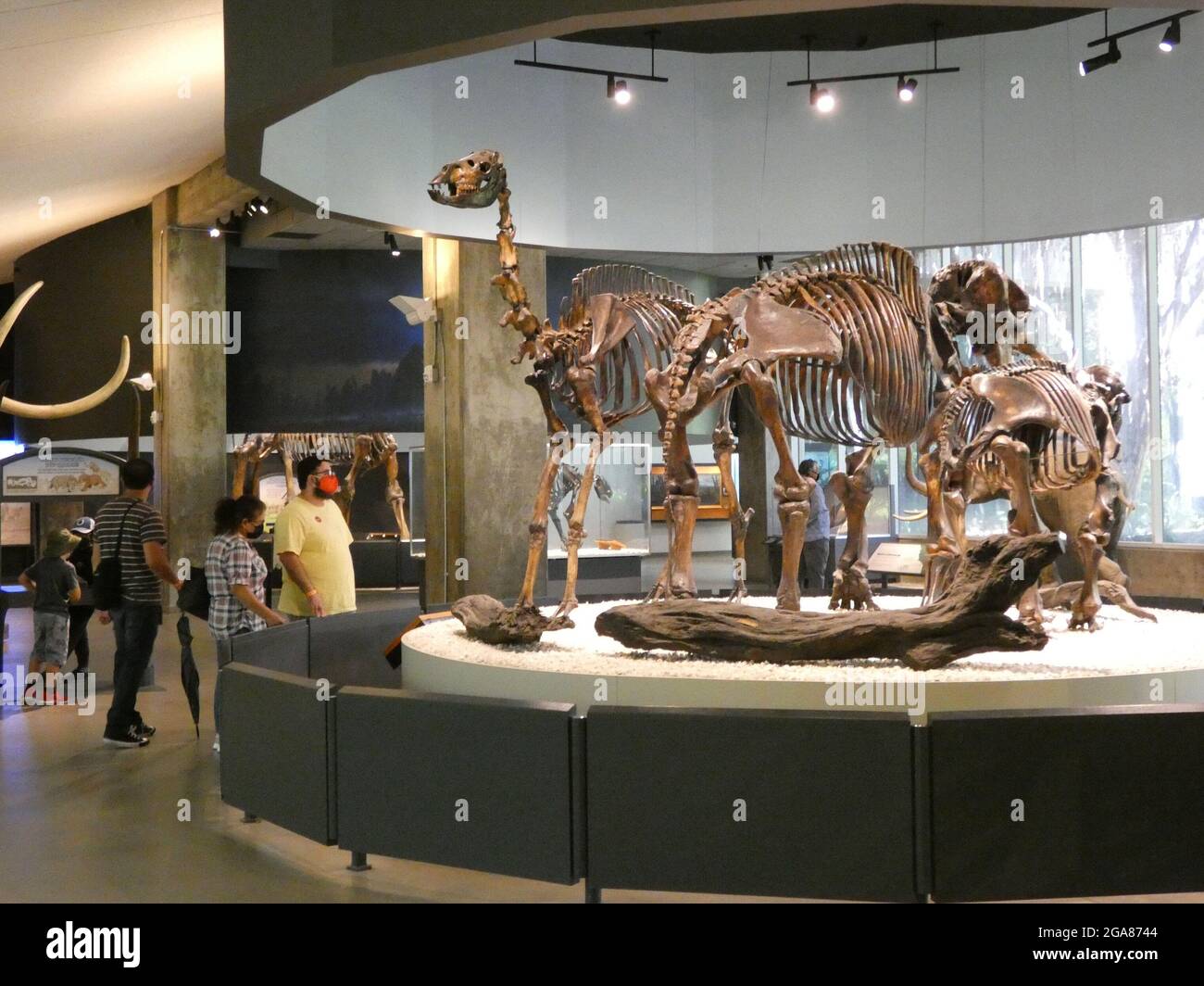 With remnants of tar hi-res stock photography and images - Alamy