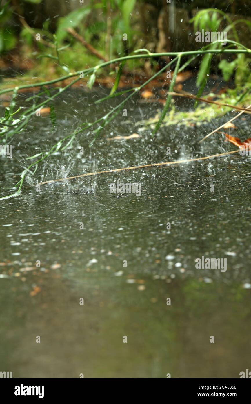 Rainy puddle outdoors Stock Photo - Alamy