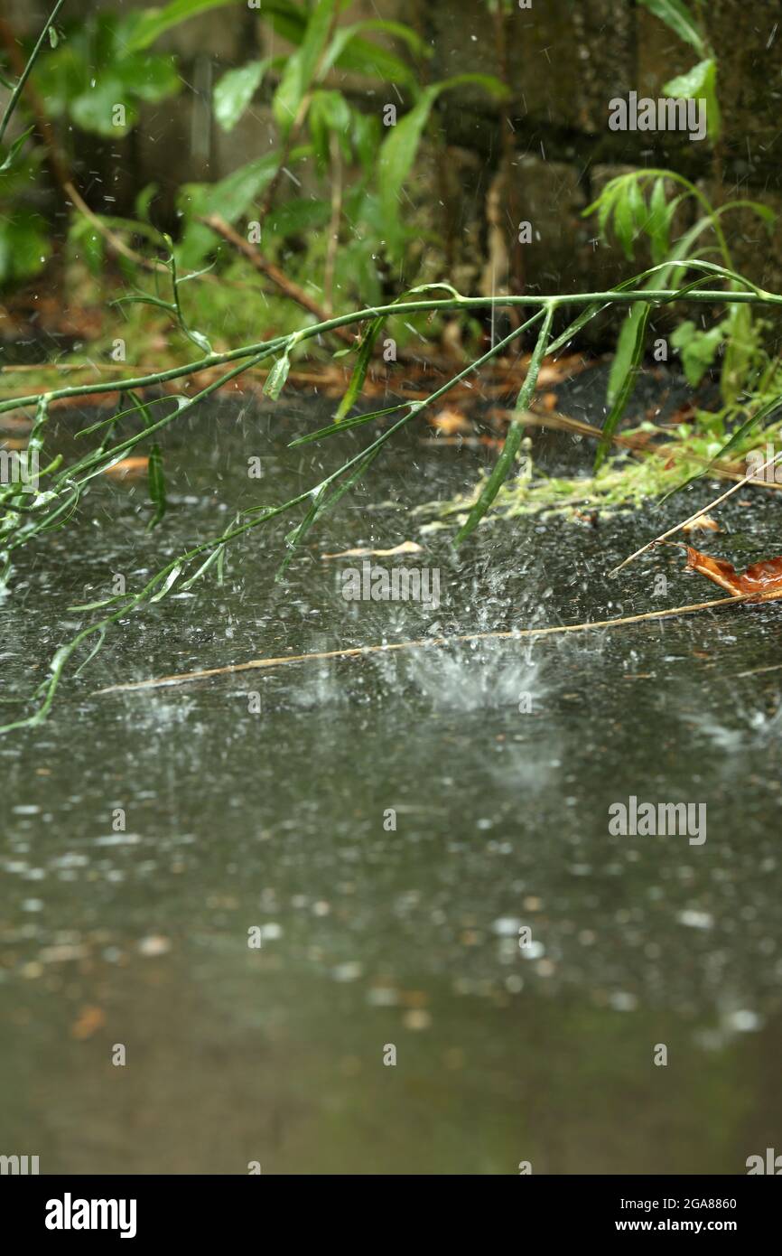 Rainy puddle outdoors Stock Photo - Alamy